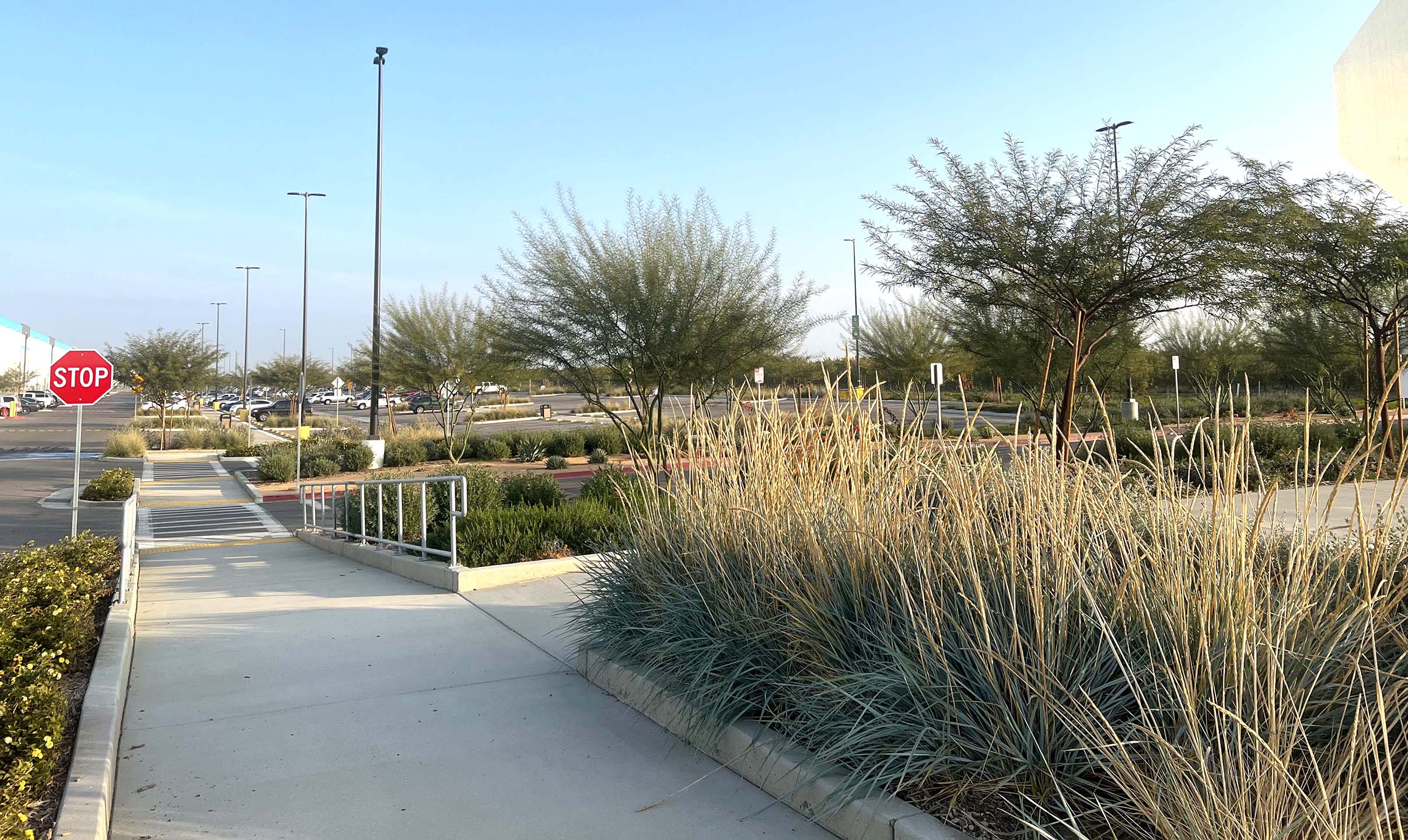Industrial - Rodarte Landscape Architecture