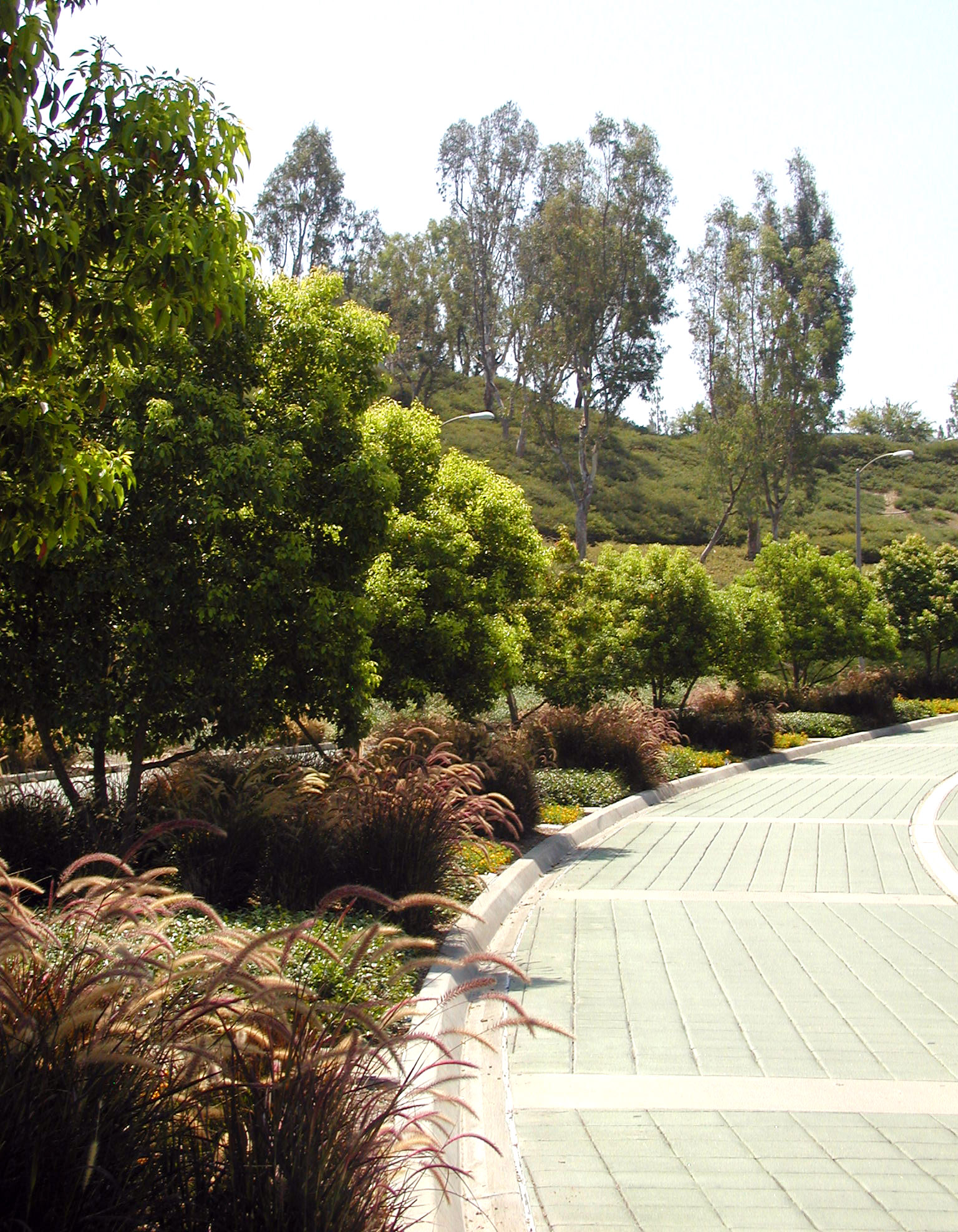 Home - Rodarte Landscape Architecture